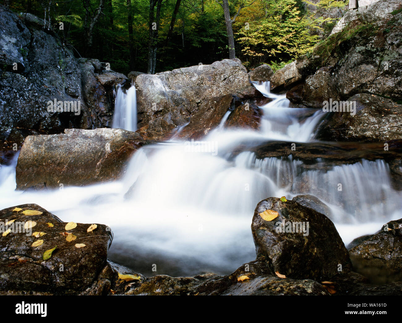 Ellis River in Jackson, New Hampshire Stock Photo - Alamy