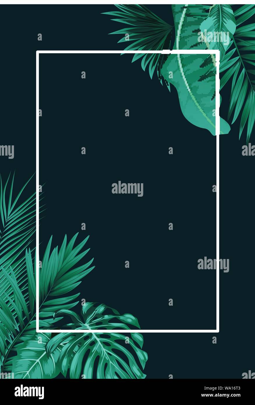 Tropical forest with square frame on black background Stock Vector ...