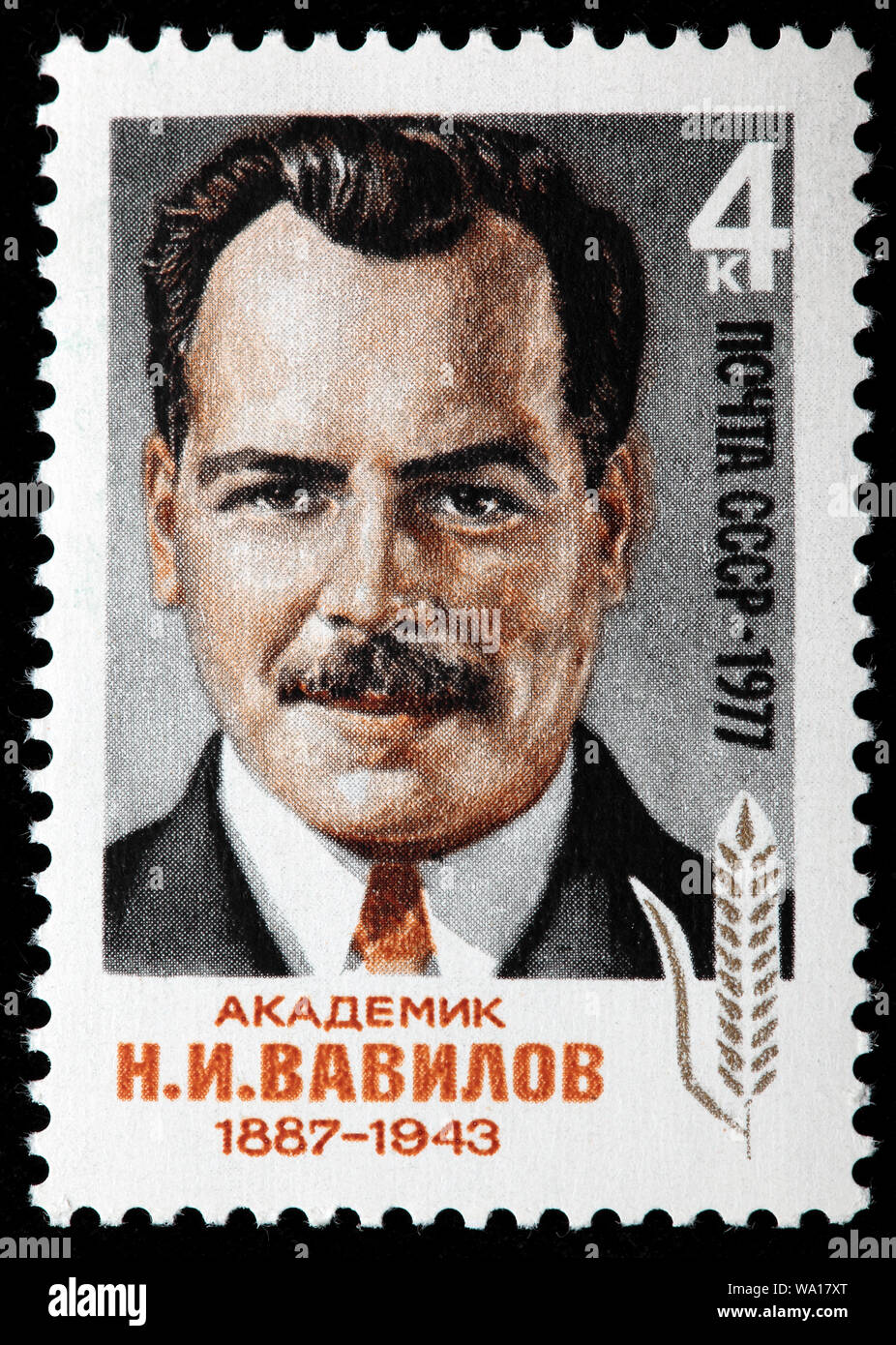 Nikolai Vavilov (1887-1943), Russian and Soviet agronomist, botanist ...