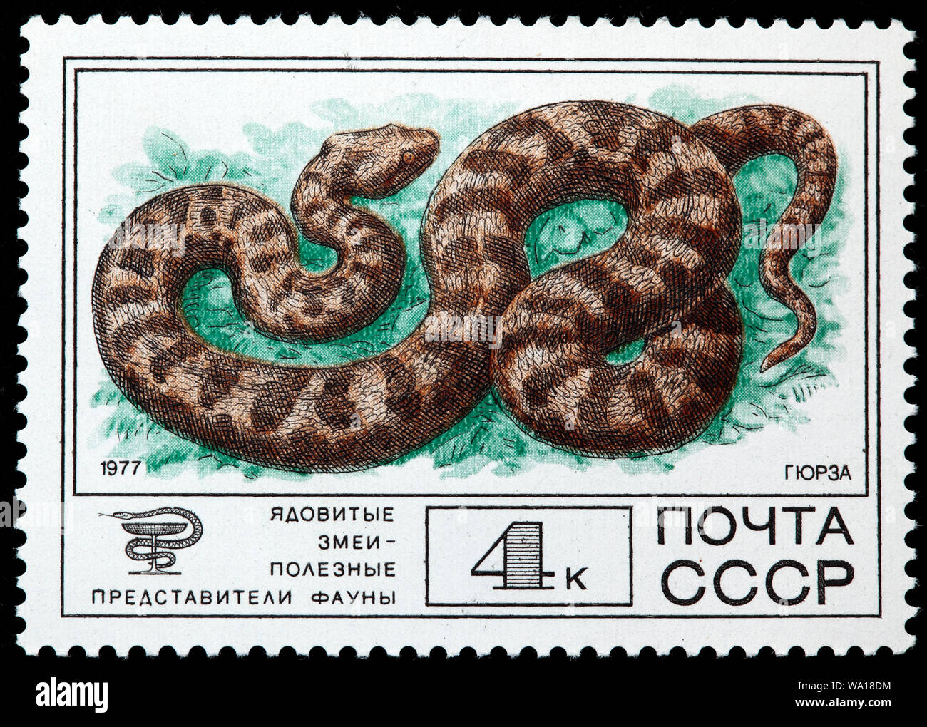 Levantine Viper, Vipera lebetina, venomous snake, postage stamp, Russia ...