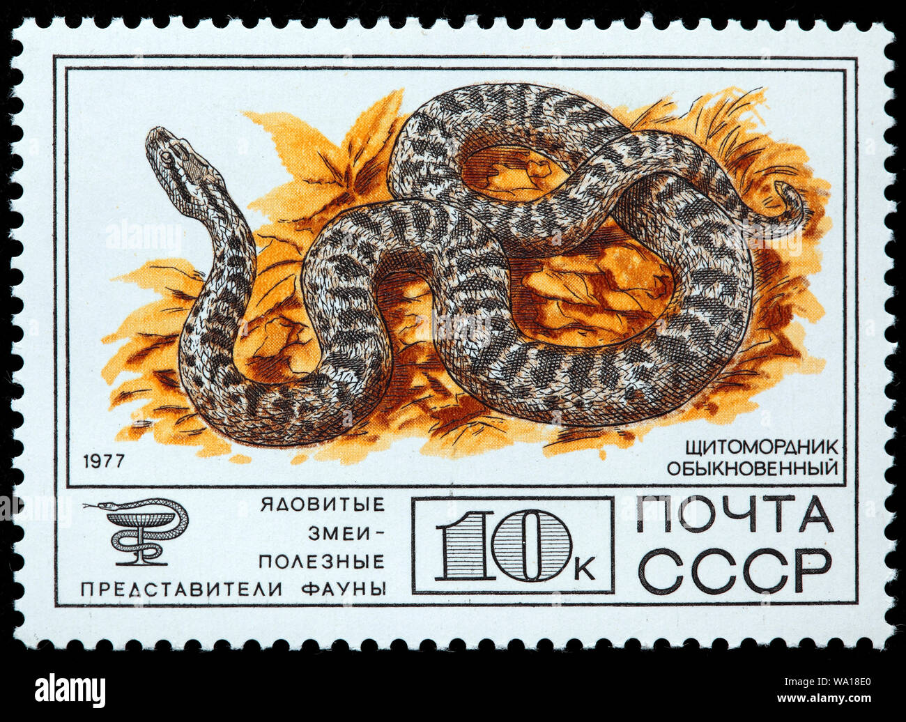 Siberian Pit Viper, Gloydius halys, venomous snake, postage stamp ...
