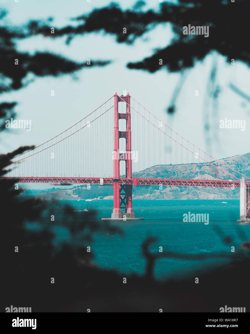 The Golden Gate Bridge in San Francisco Stock Photo - Alamy