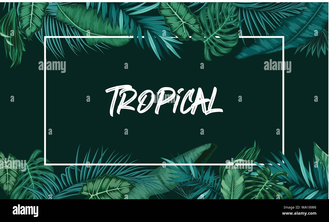 Tropical forest with rectangle frame on black background Stock Vector ...