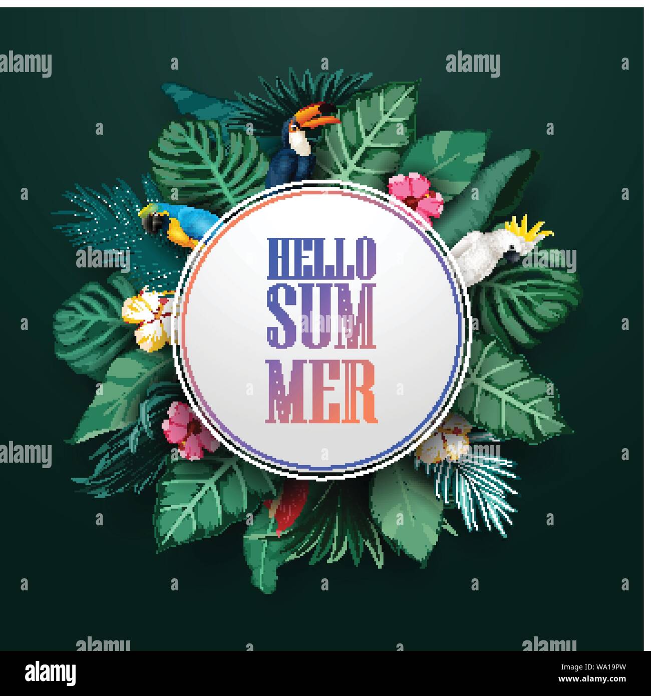 Hello Summer with Birds collection and tropical plants background Stock ...