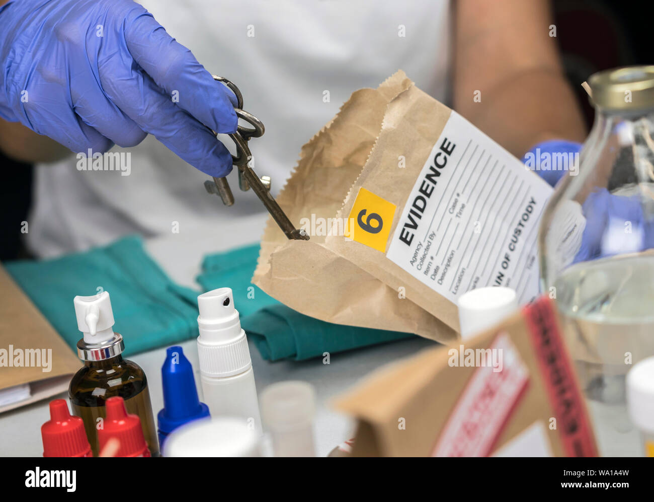Scientific police officer examines keys of test of scene of crime ...