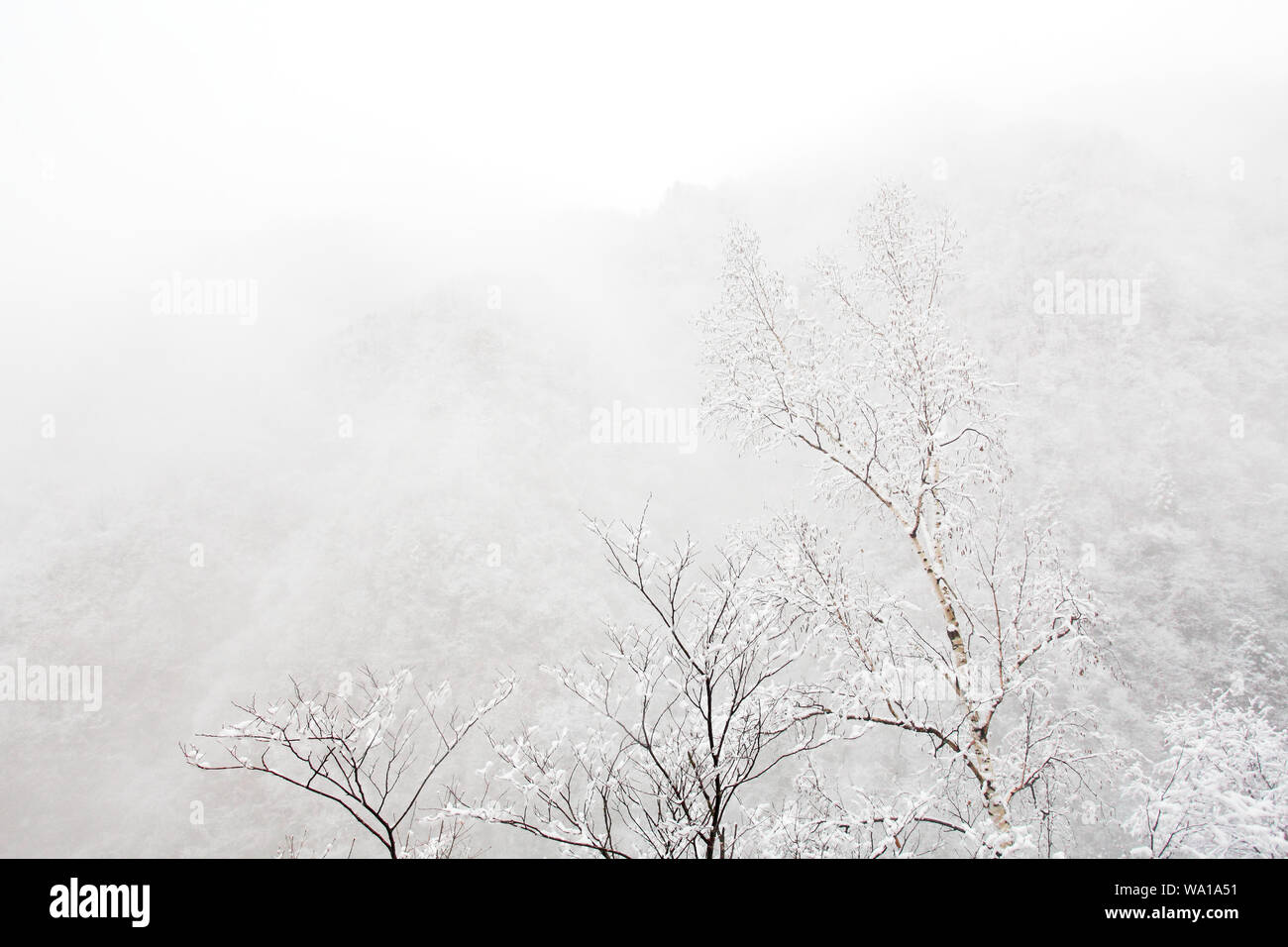 Qinling ridge hi-res stock photography and images - Alamy