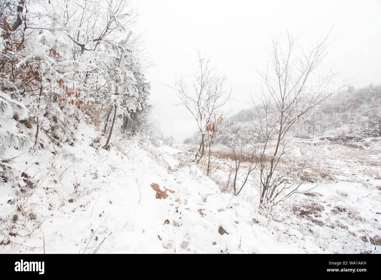 Hanzhong city High Resolution Stock Photography and Images - Alamy