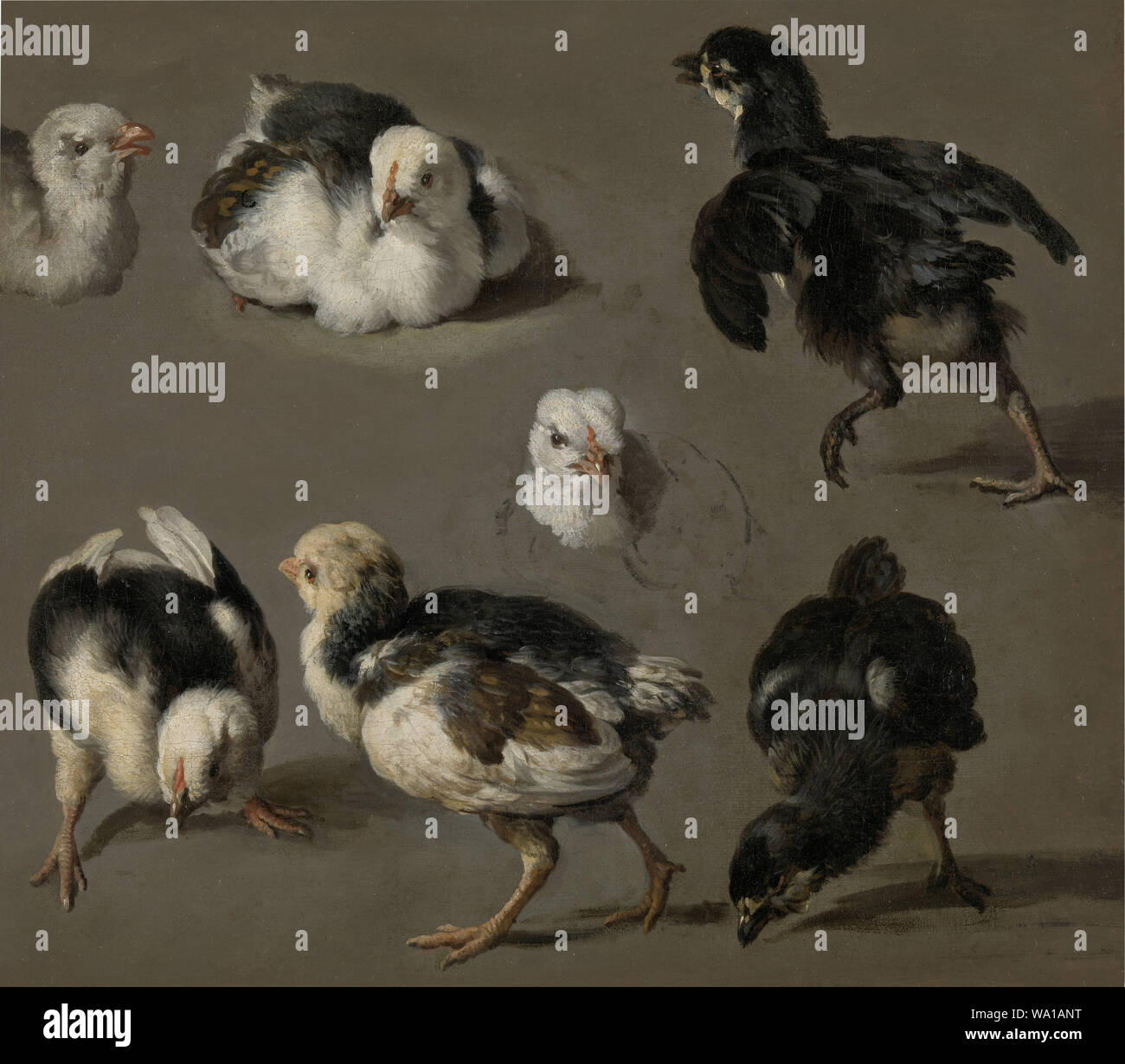 Cartoon Chicken Bird Cartoon Farm High Resolution Stock Photography and ...