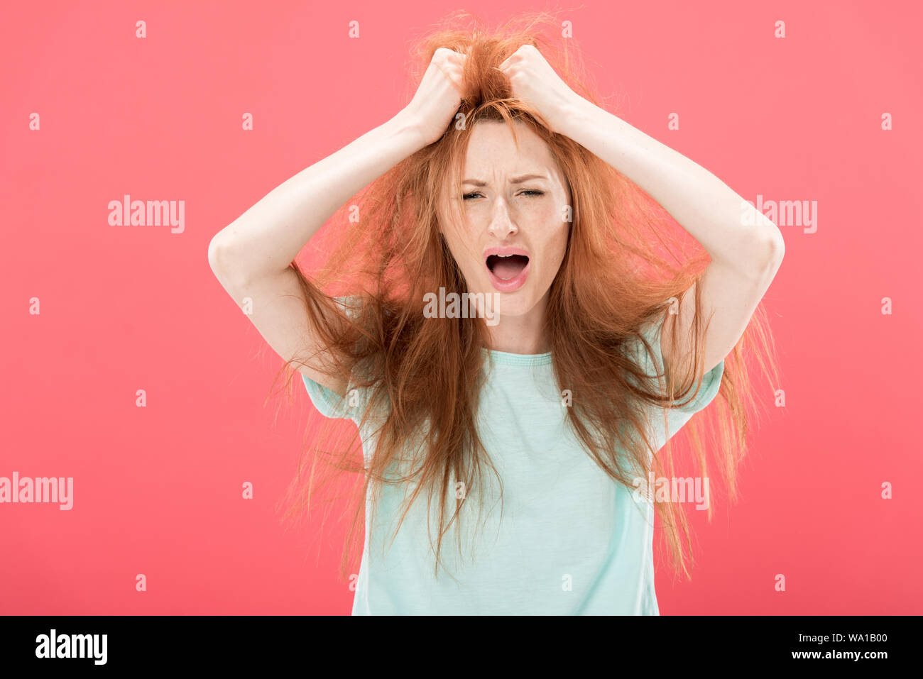 angry redhead woman touching tangled hair and screaming isolated on ...