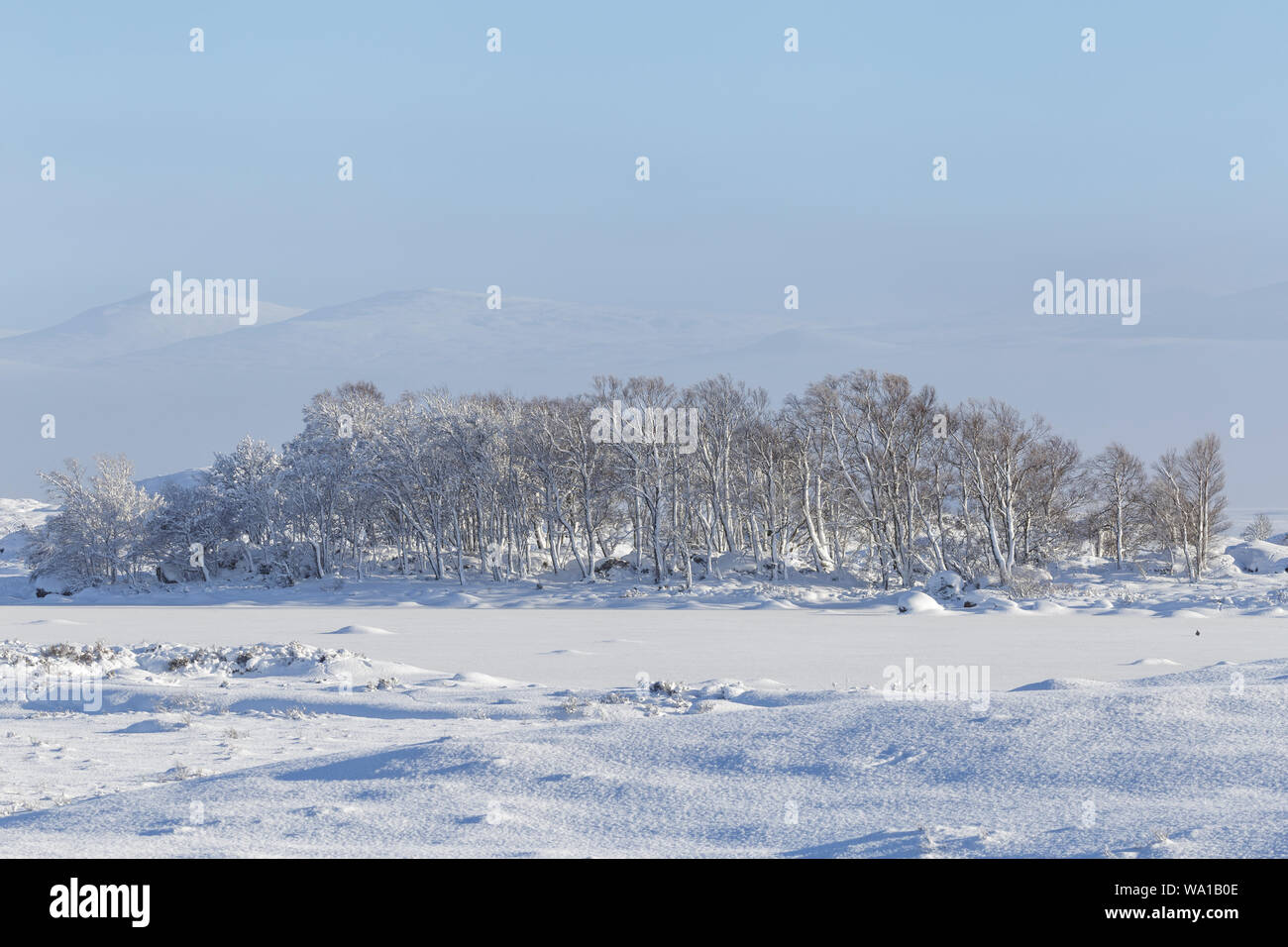 Rannoch Moor in the Scottish Highlands, UK. Known for its desolation ...