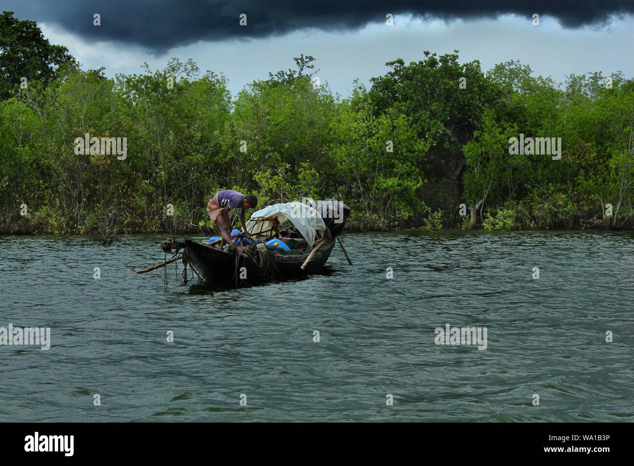 Breathing roots of Keora trees at the World largest mangrove forest ...