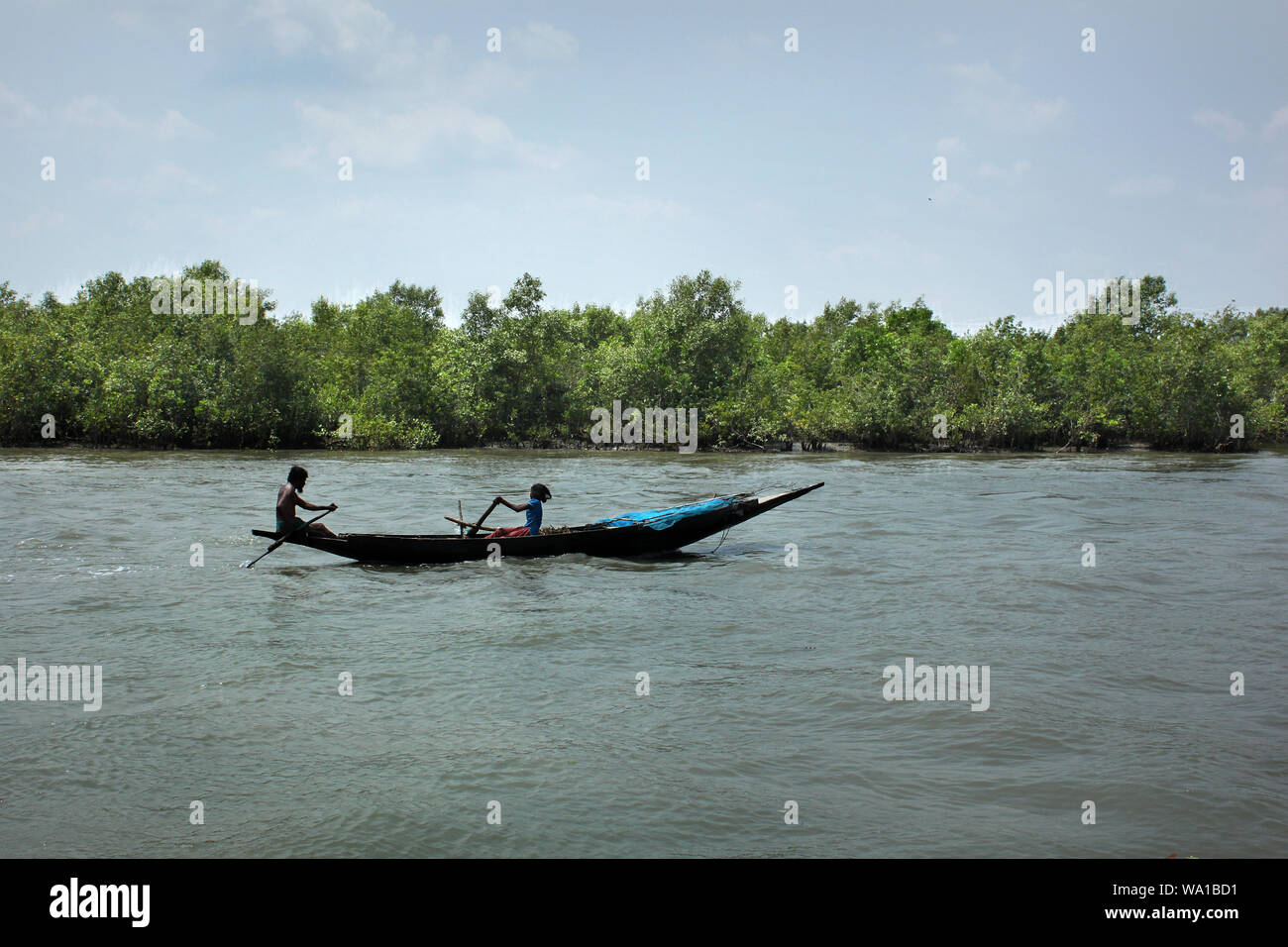 Breathing roots of Keora trees at the World largest mangrove forest ...