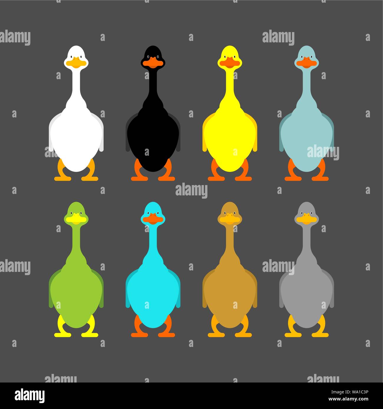 Geese colored set. domestic waterfowl. vector illustration Stock Vector ...