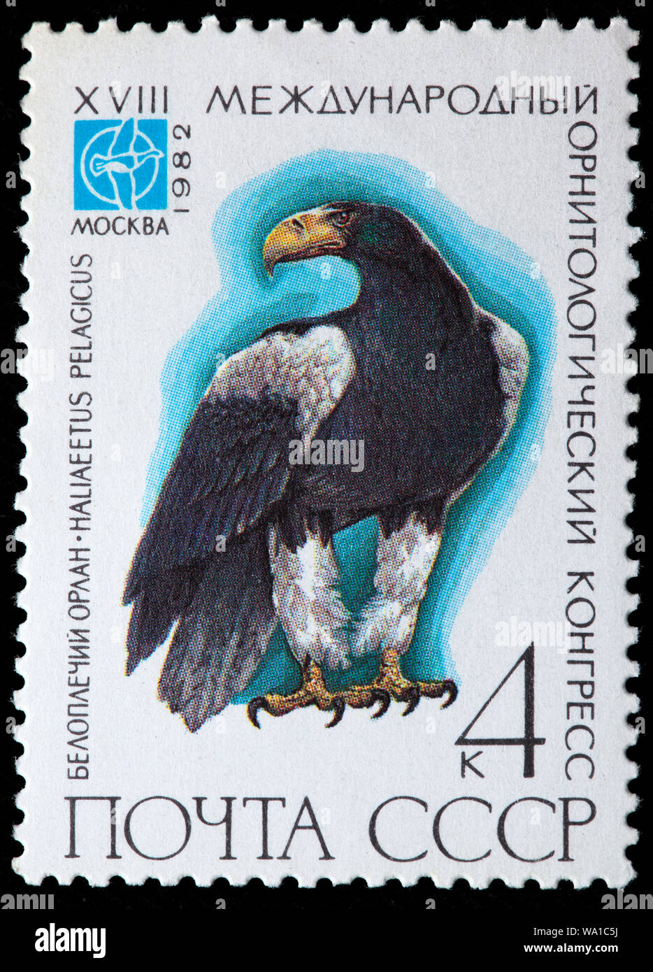 Steller's sea eagle, Haliaeetus pelagicus, 18th International ...