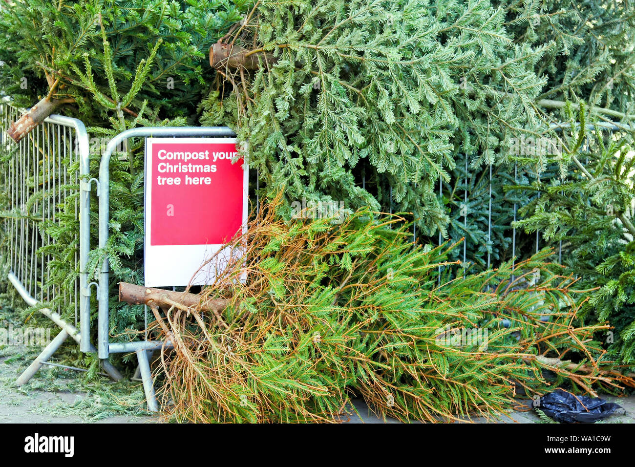 Composting christmas trees hi-res stock photography and images - Alamy