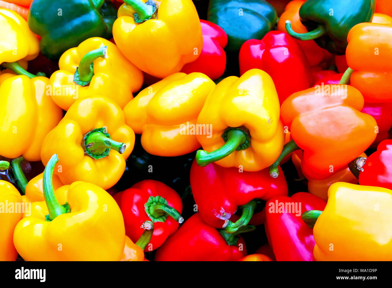 Color paprika hi-res stock photography and images - Alamy