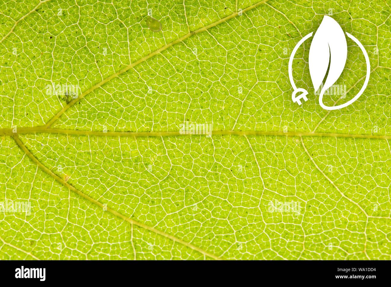 Eco-friendly and renewable energy icon on a natural, green leaf ...