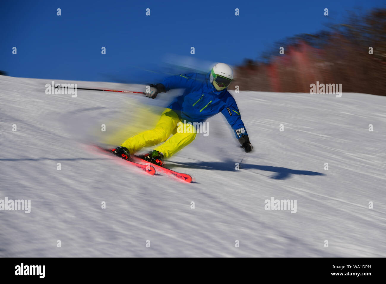 Sled ski hi-res stock photography and images - Alamy