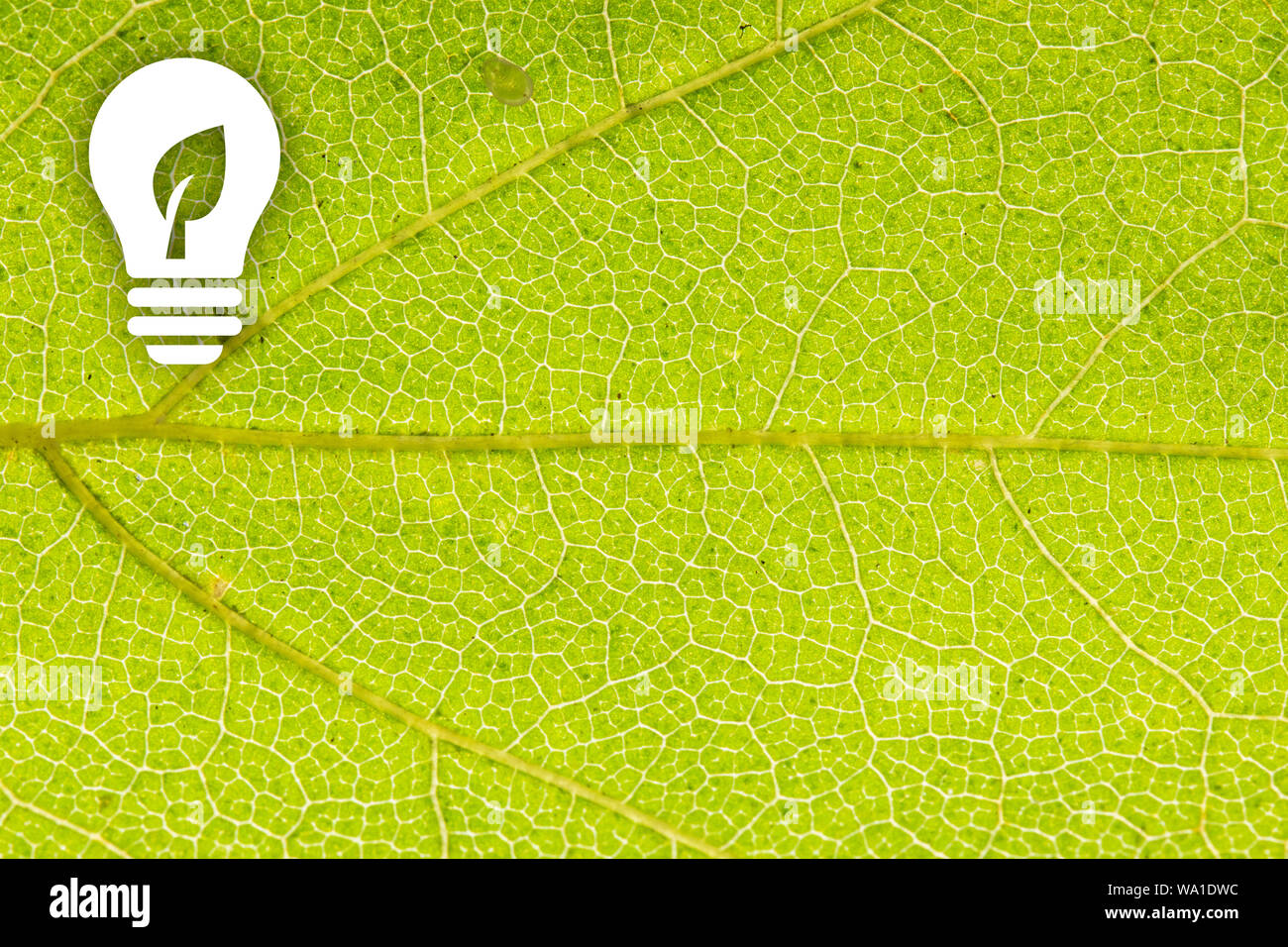 Eco-friendly and renewable energy icon on a natural, green leaf ...