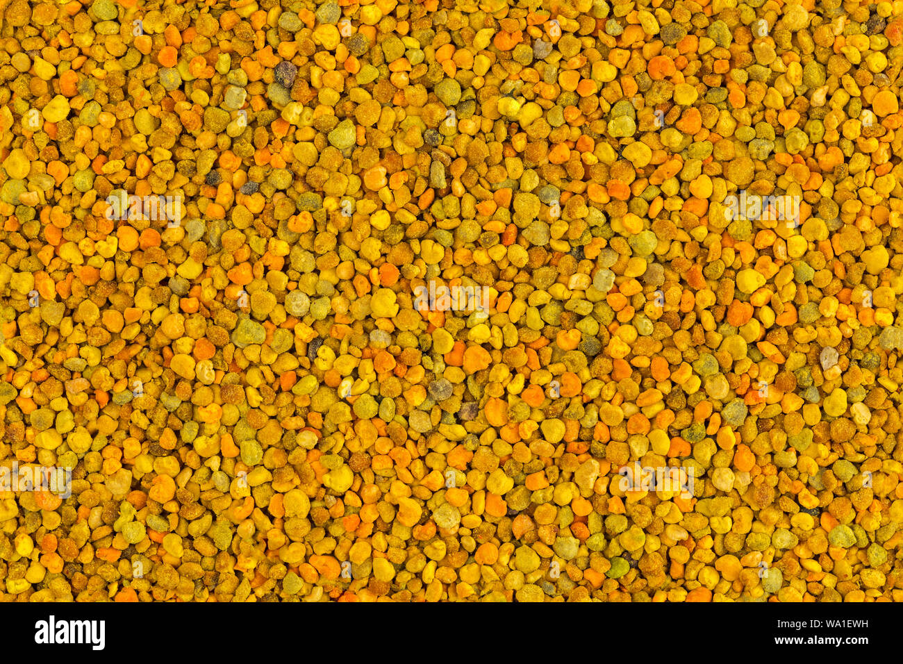seamless flat texture and background of yellow bee pollen granules ...