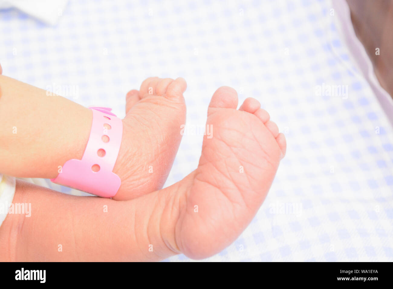 Two baby feet with special tag from maternity hospital. Selective focus ...