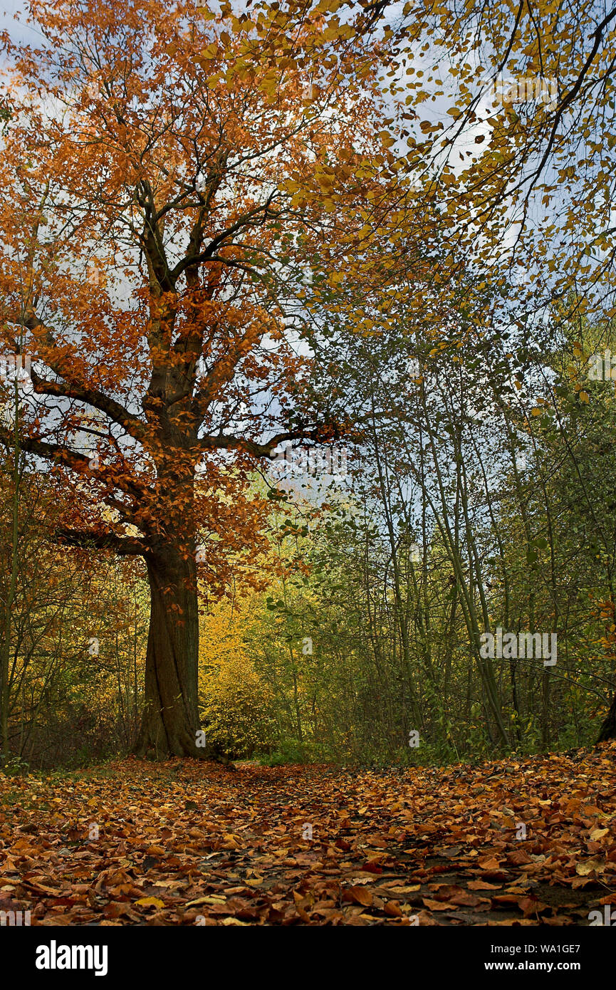 Twisted colours hi-res stock photography and images - Alamy