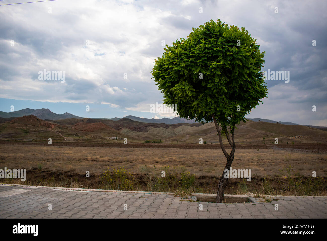 Turkey, Middle East: a tree in the breathtaking rocky landscape on the ...