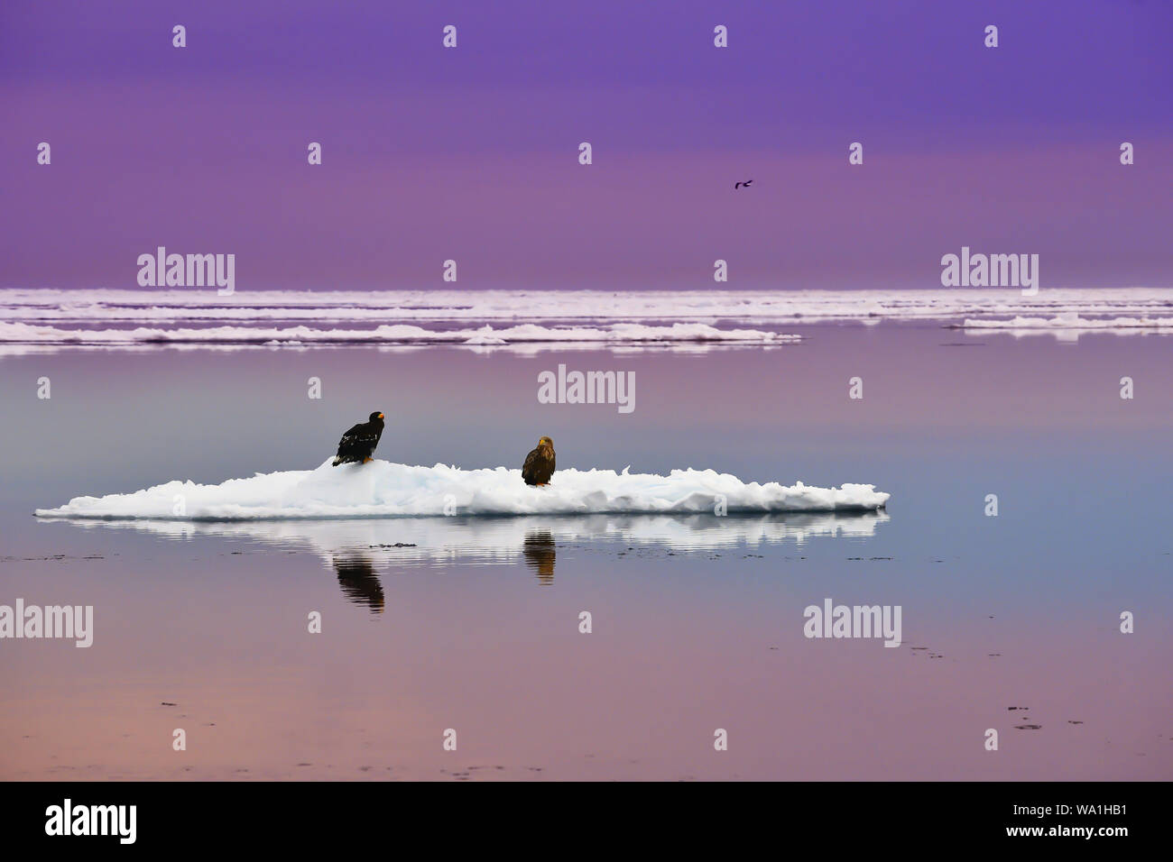 Hokkaido scenery hi-res stock photography and images - Alamy