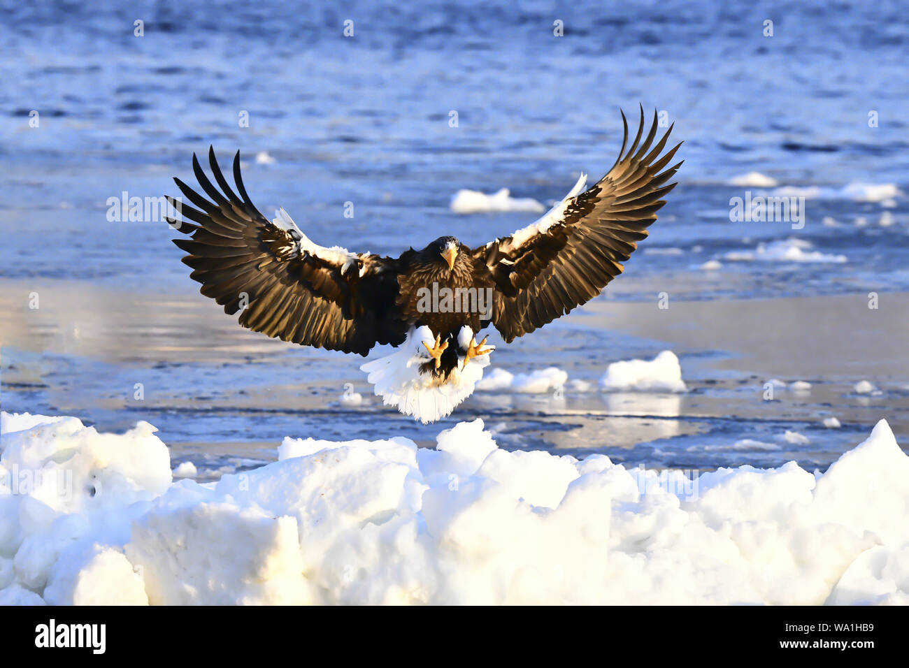 Ice cry hi-res stock photography and images - Alamy