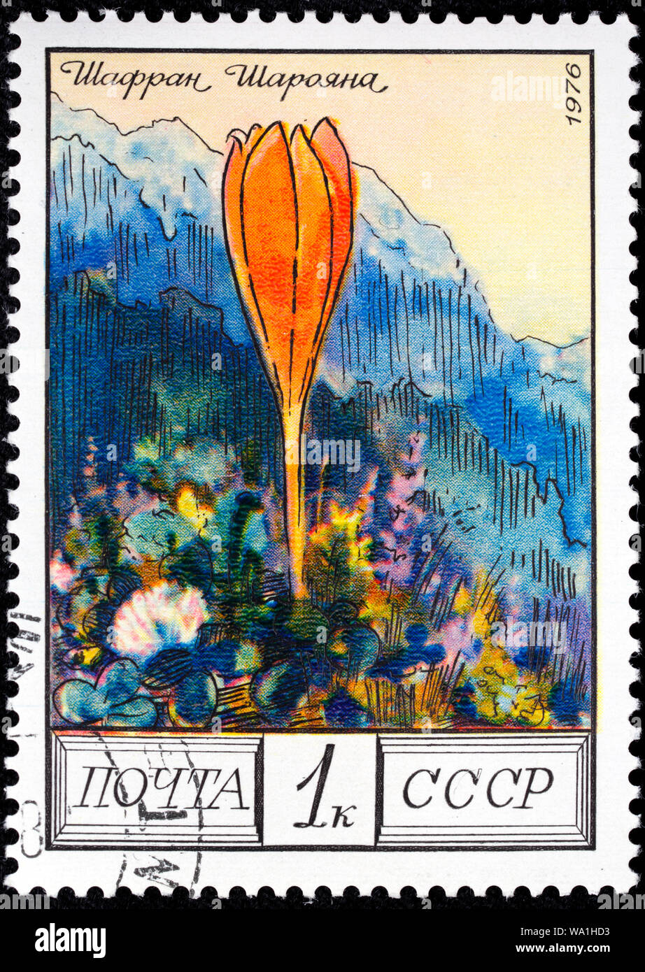 Crocus scharojanii, Caucasus flower, postage stamp, Russia, USSR, 1976 ...