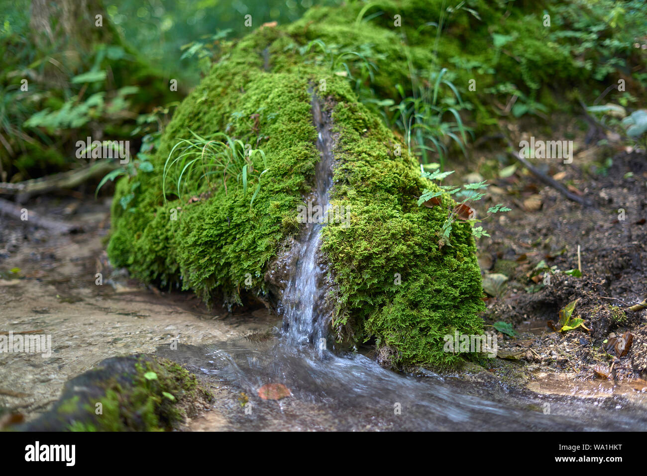 Steinerne rinne hi-res stock photography and images - Alamy