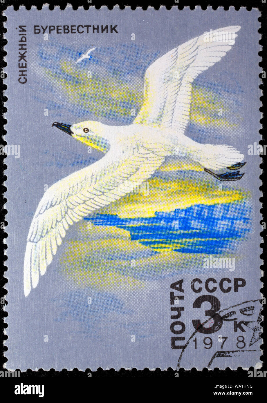 Snow Petrel, Pagodroma nivea, Fauna of Antarctica, postage stamp ...