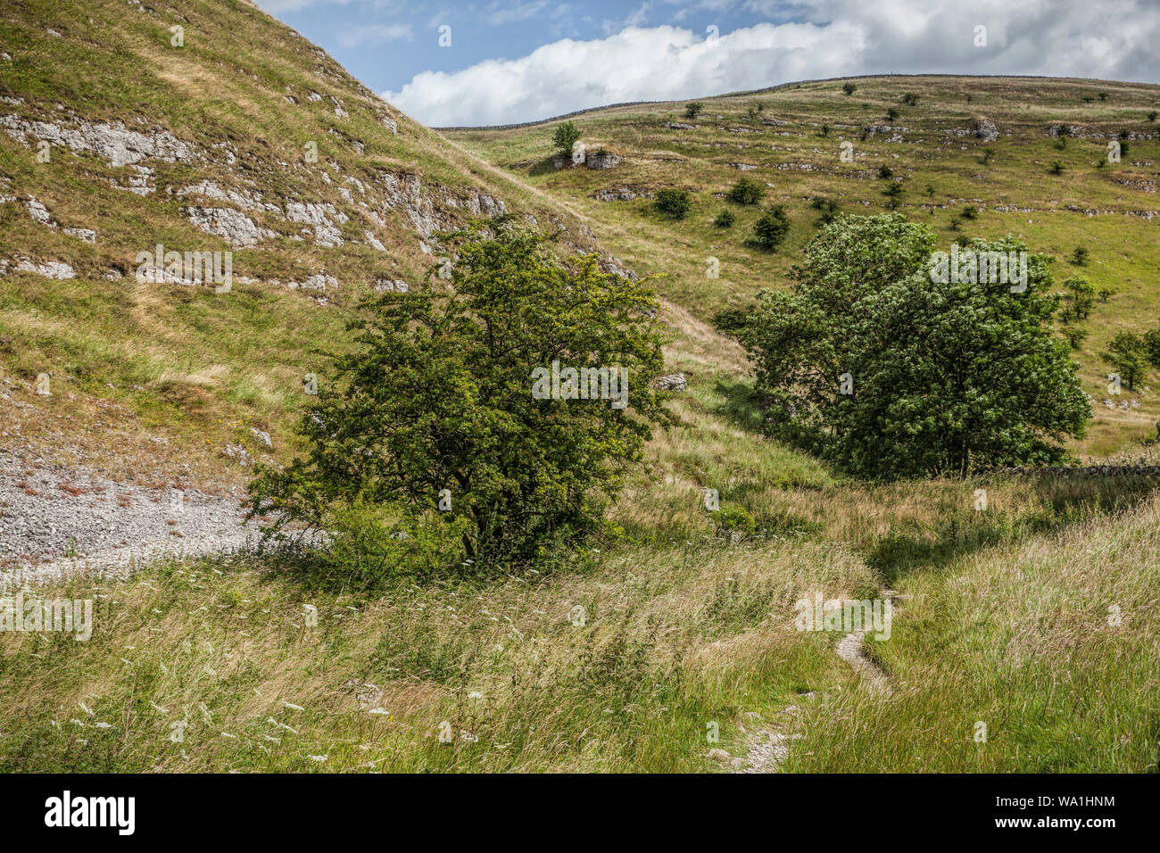 Trees and undulating hills in the Derbyshire Peak District Stock Photo ...