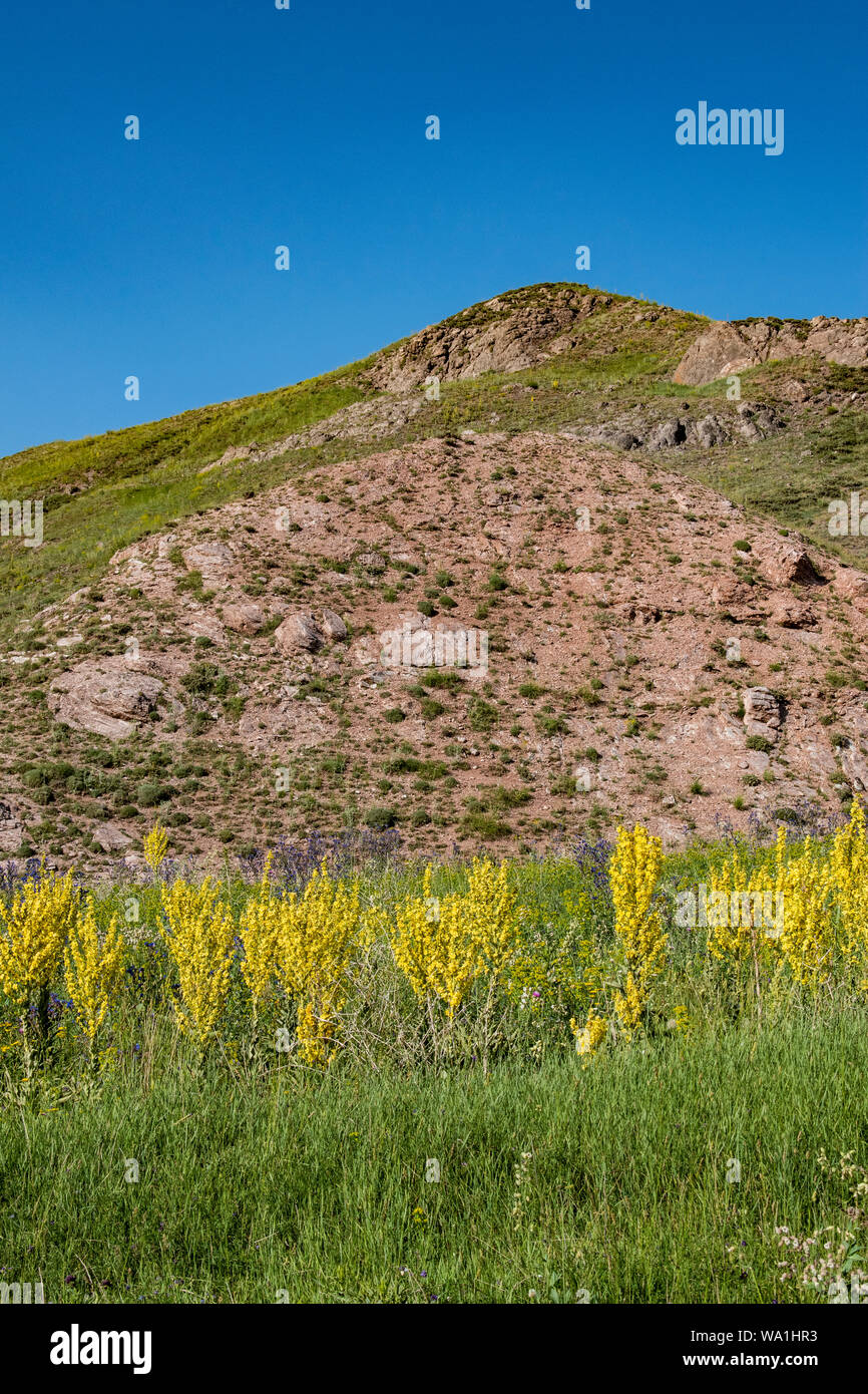 Turkey: landscape on the dirt winding road on the plateau around Mount ...