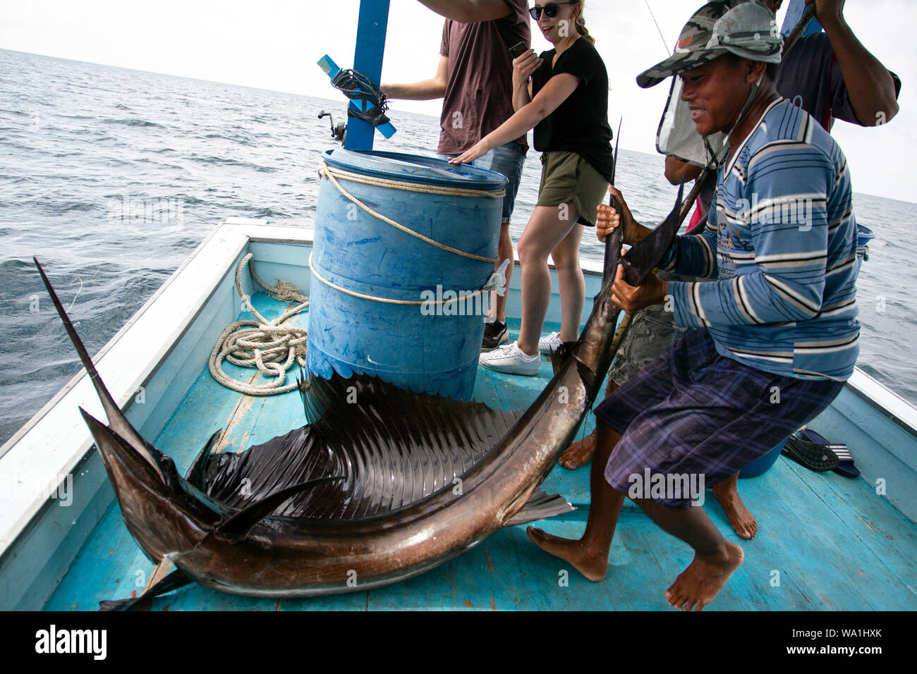 Fishing boat lands catch hi-res stock photography and images - Alamy