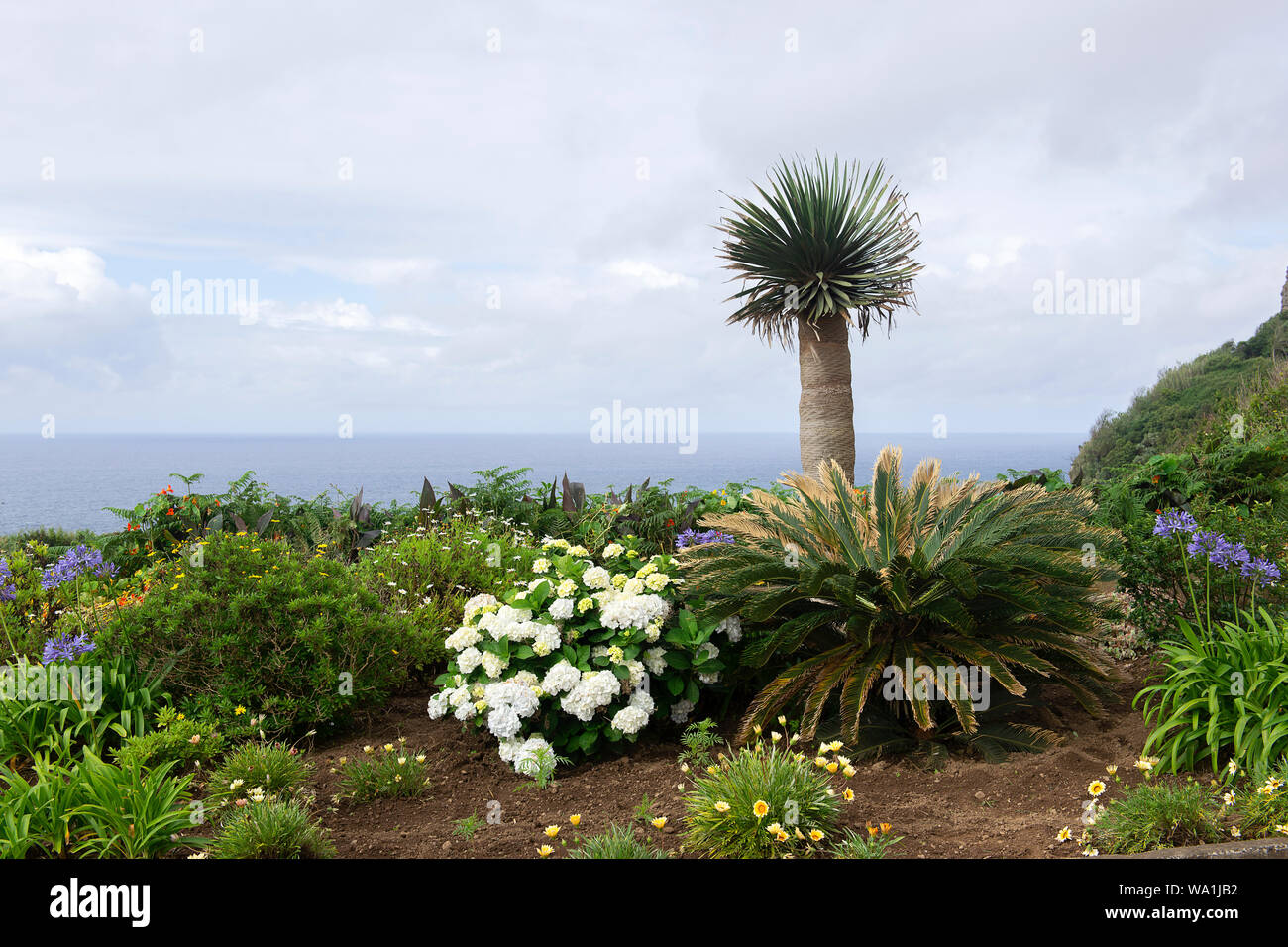 Jungle view on Flores, Azores, Portugal, Europe, Atlantic Ocean Stock ...