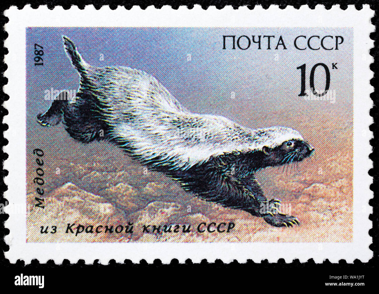 Mellivora capensis, Honey Badger, ratel, postage stamp, Russia, USSR ...