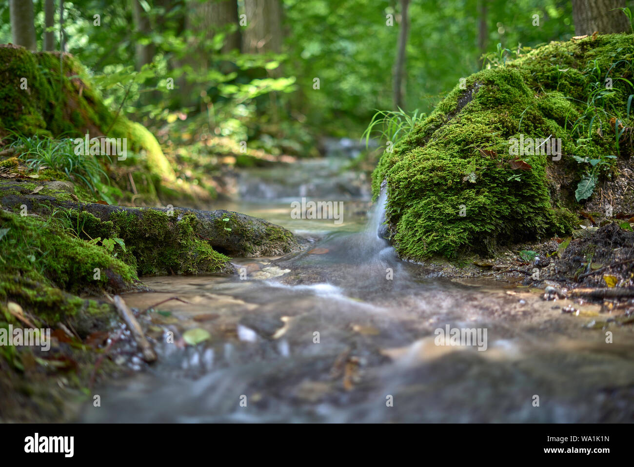 Rinne hi-res stock photography and images - Alamy