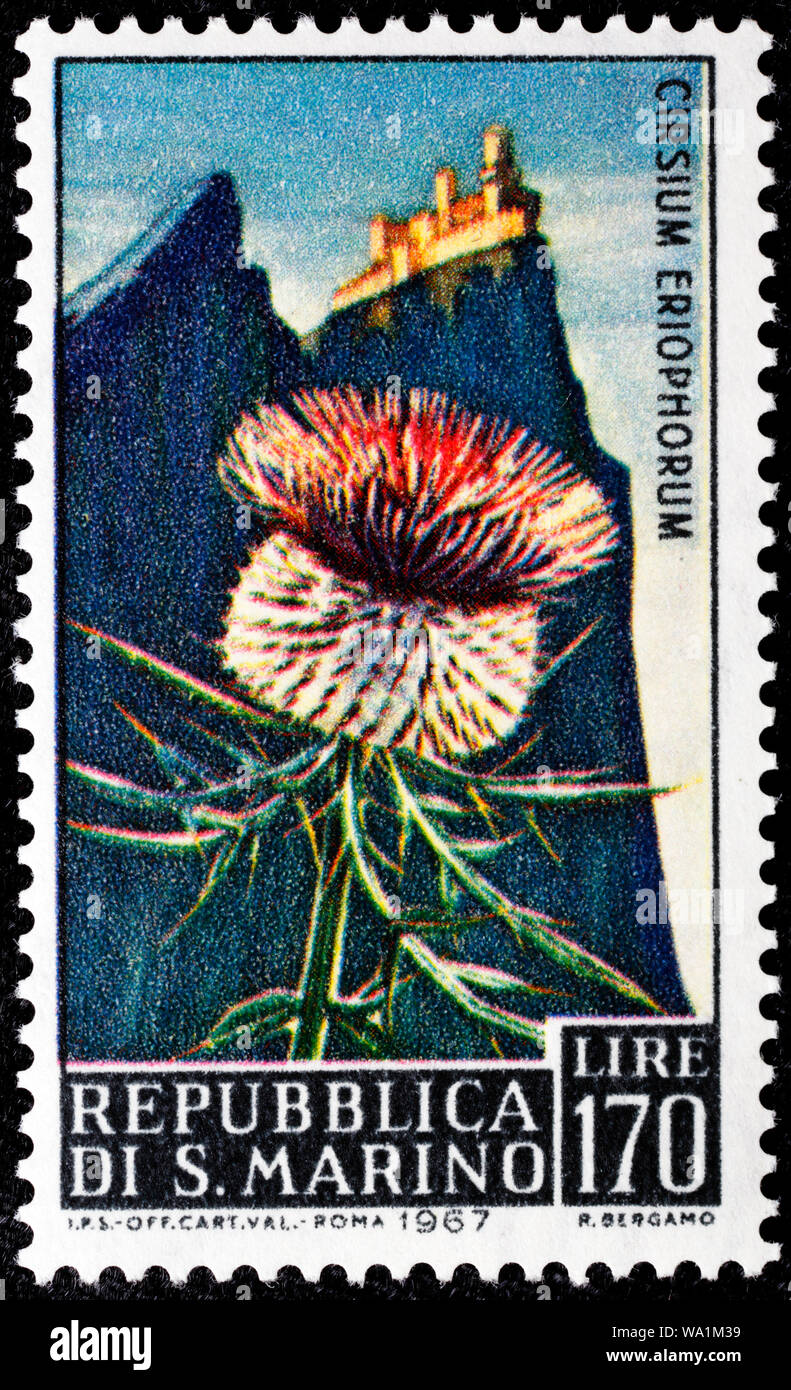 Cirsium eriophorum, woolly thistle, flower, postage stamp, San Marino ...