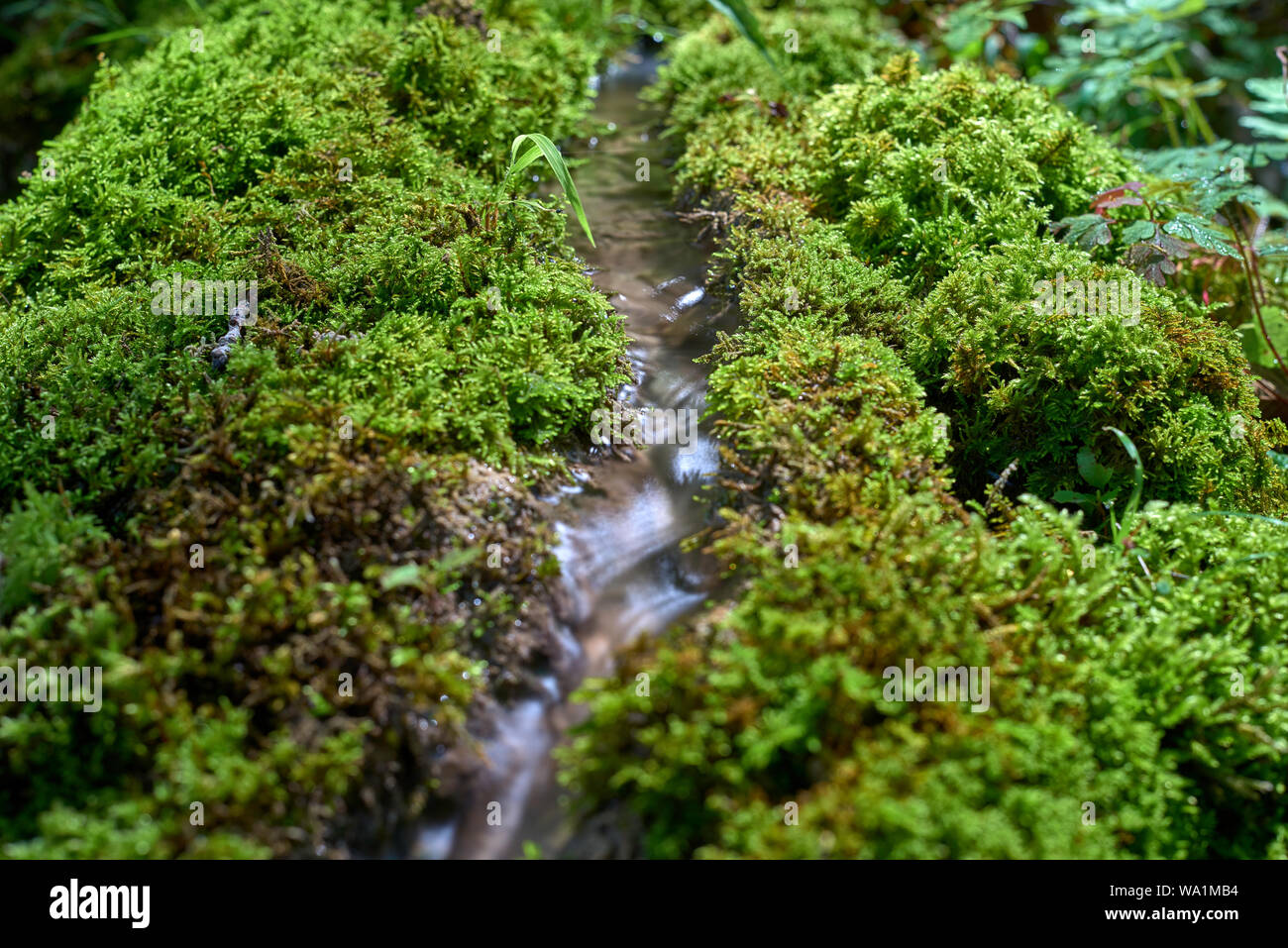 Wasser rinne hi-res stock photography and images - Alamy