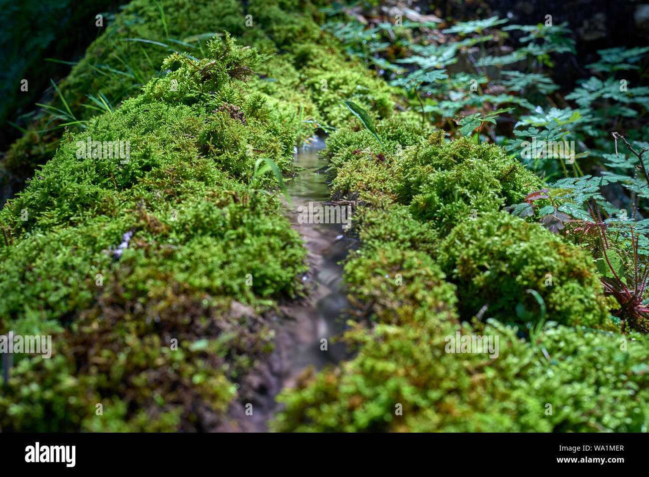 Wasser rinne hi-res stock photography and images - Alamy