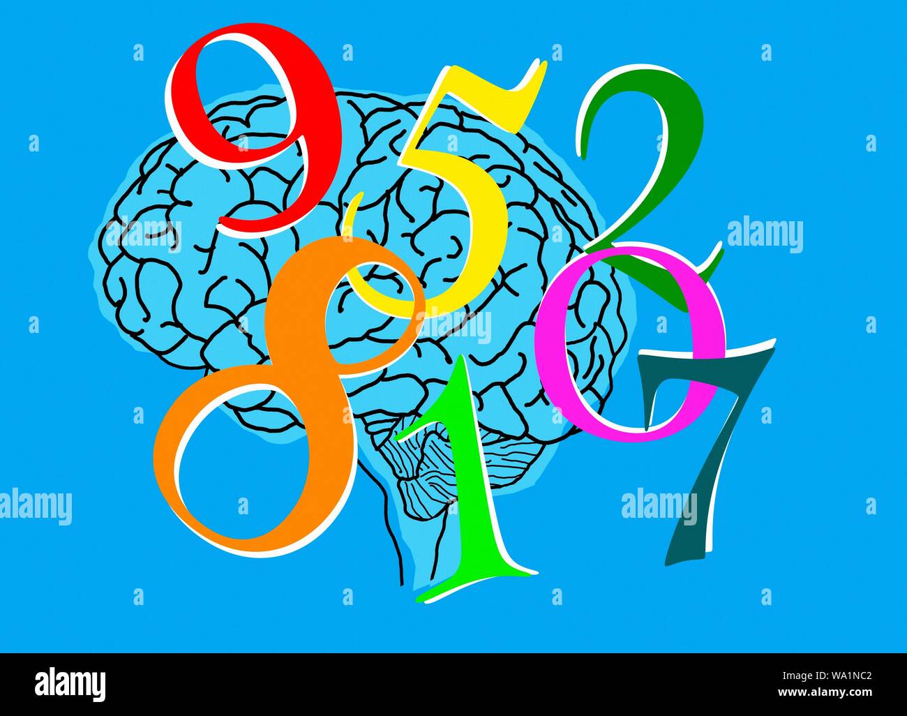 Human brain numbers showing hi-res stock photography and images - Alamy