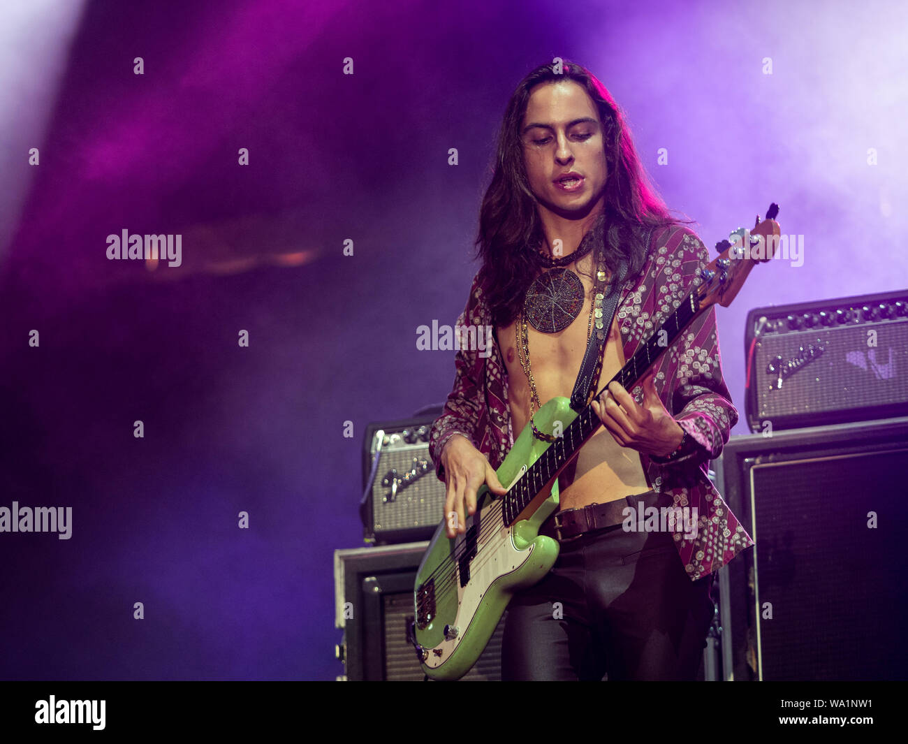 GVF Sam Kiszka Vector Art Greta Van Fleet Prints Digital Prints Art ...