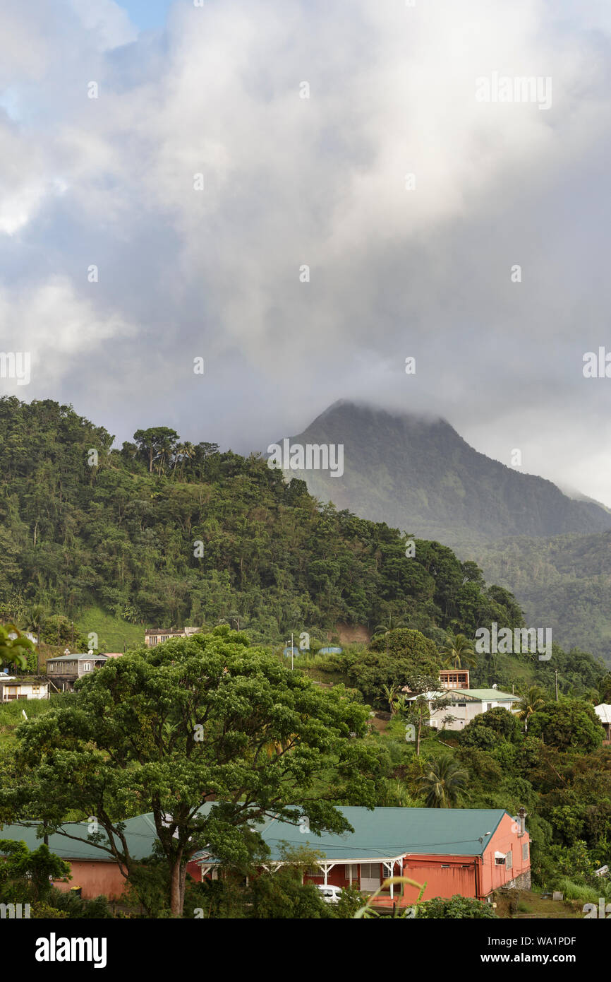 Tropical martinique island hi-res stock photography and images - Alamy