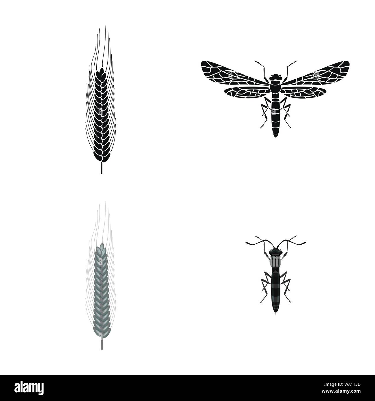 Vector Vectors Stock Vector Image & Art - Alamy