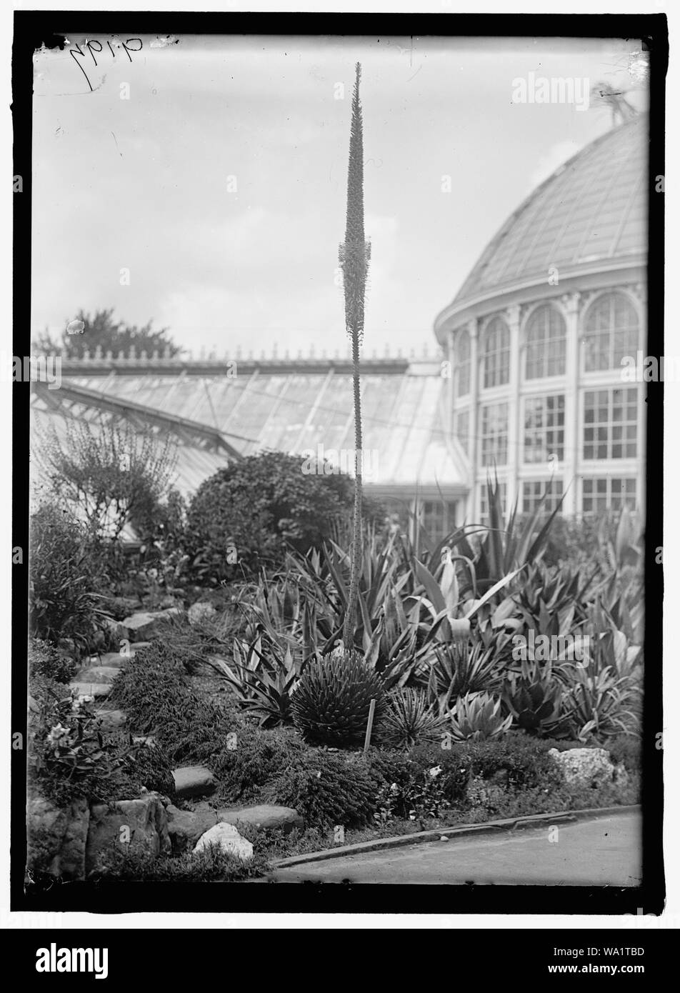 Botanical practice Cut Out Stock Images & Pictures - Alamy