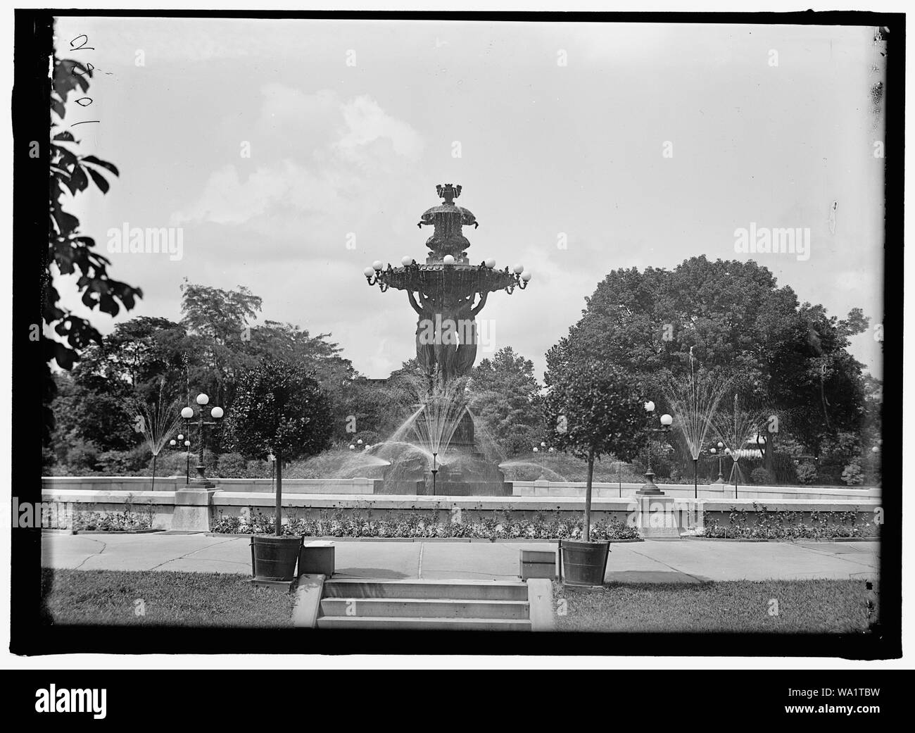 Historical botanical Black and White Stock Photos & Images - Alamy