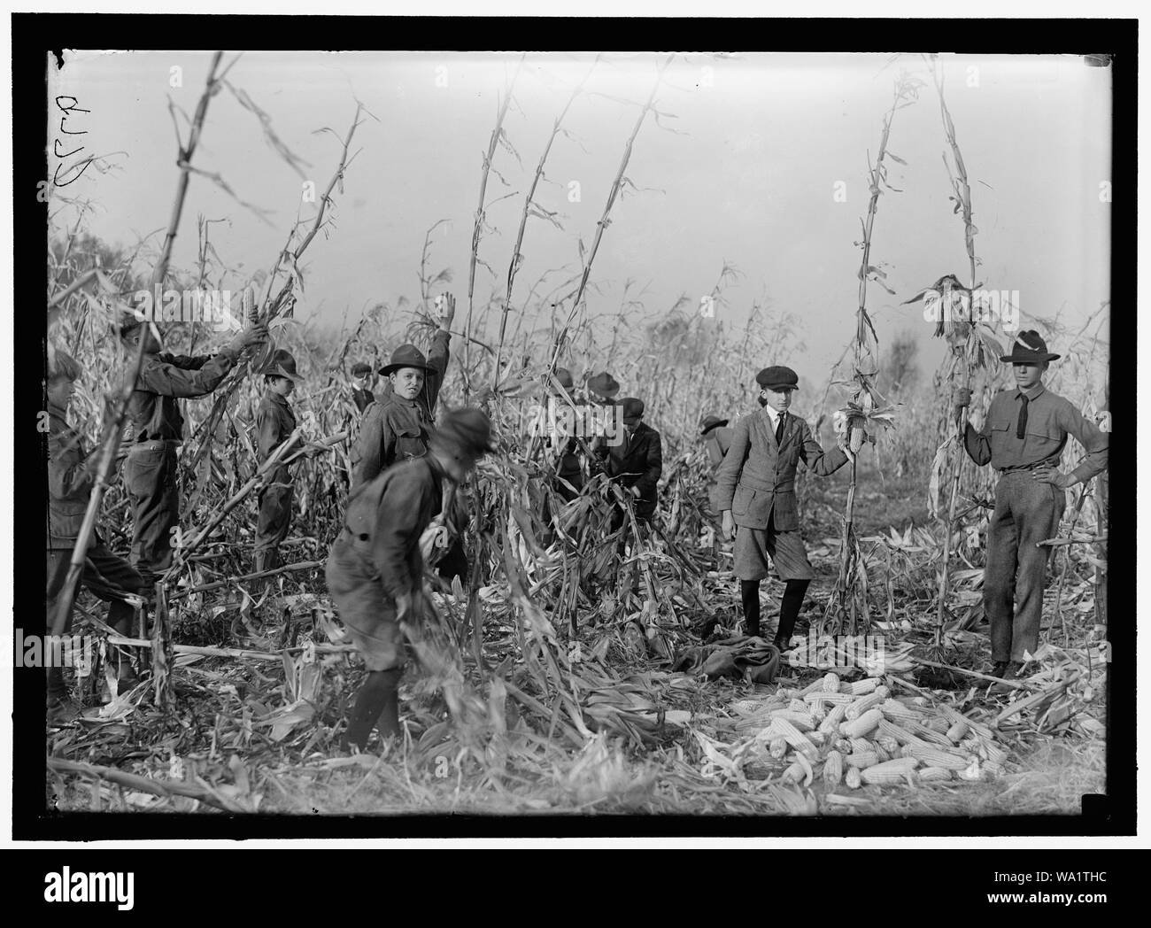 BOY SCOUTS. BOY SCOUT FARM Stock Photo - Alamy