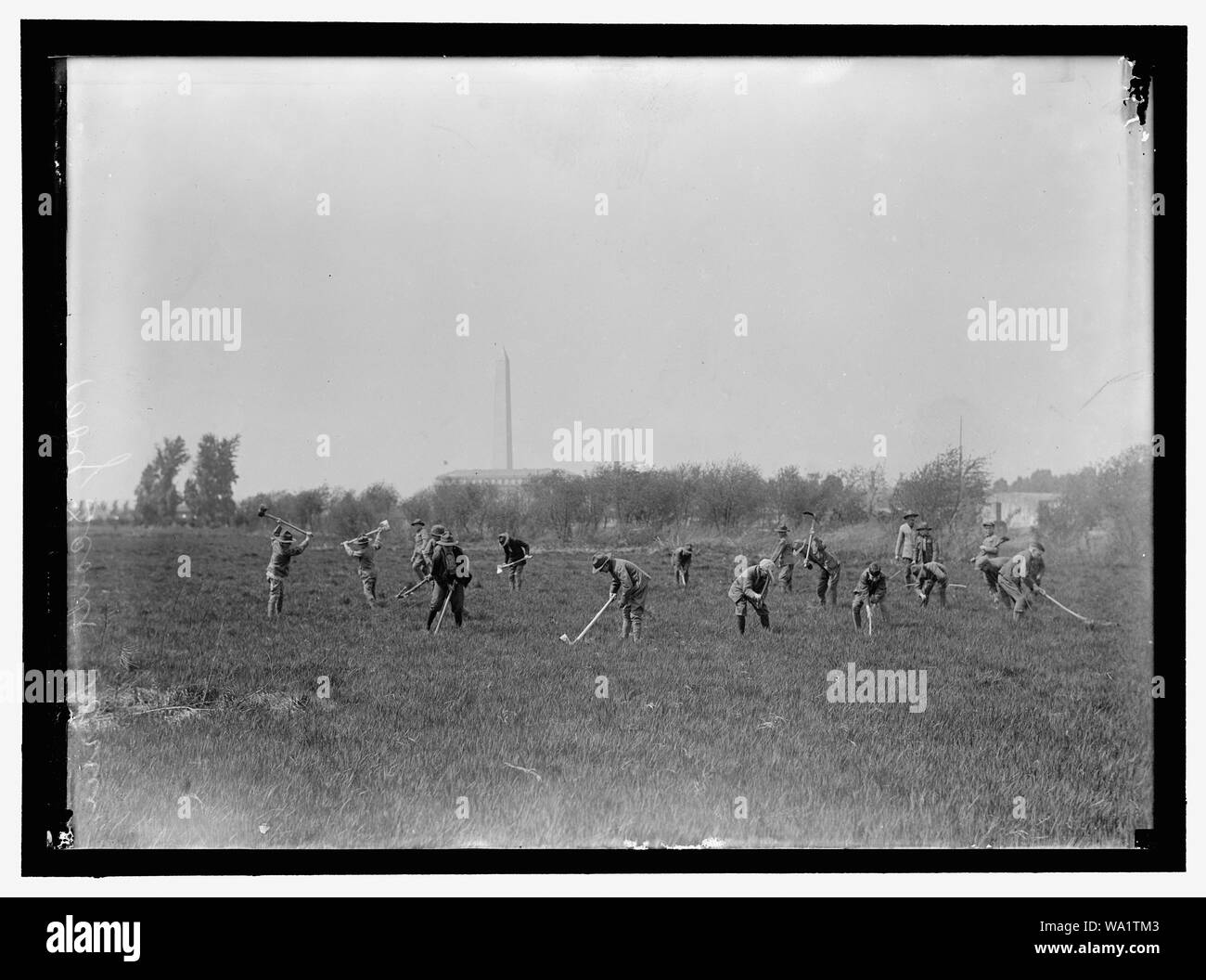 Group gardening tools Black and White Stock Photos & Images - Alamy