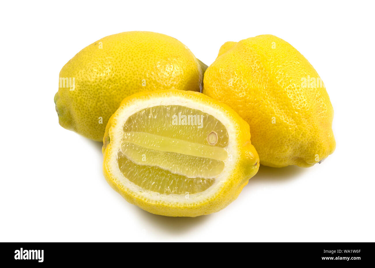Ripe whole yellow lemon citrus fruit with lemon fruit half isolated on ...